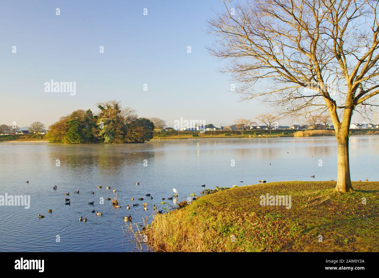 Suizenji park pond kumamoto kumamoto hi-res stock photography and ...