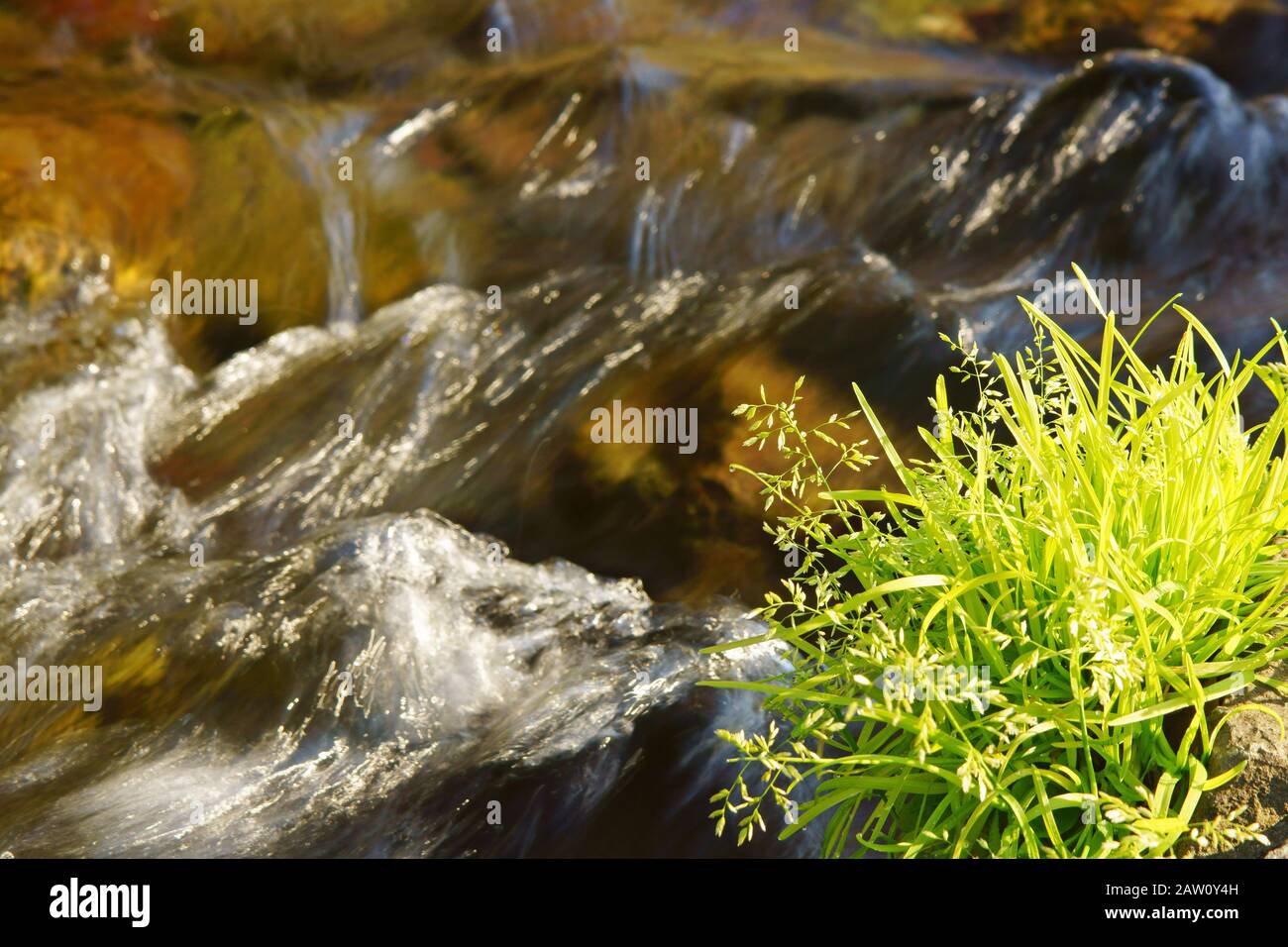 Stream flowing spring water Stock Photo - Alamy
