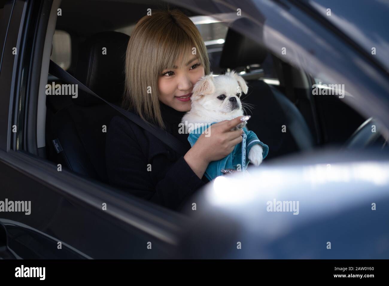 Autopilot life hi-res stock photography and images - Alamy