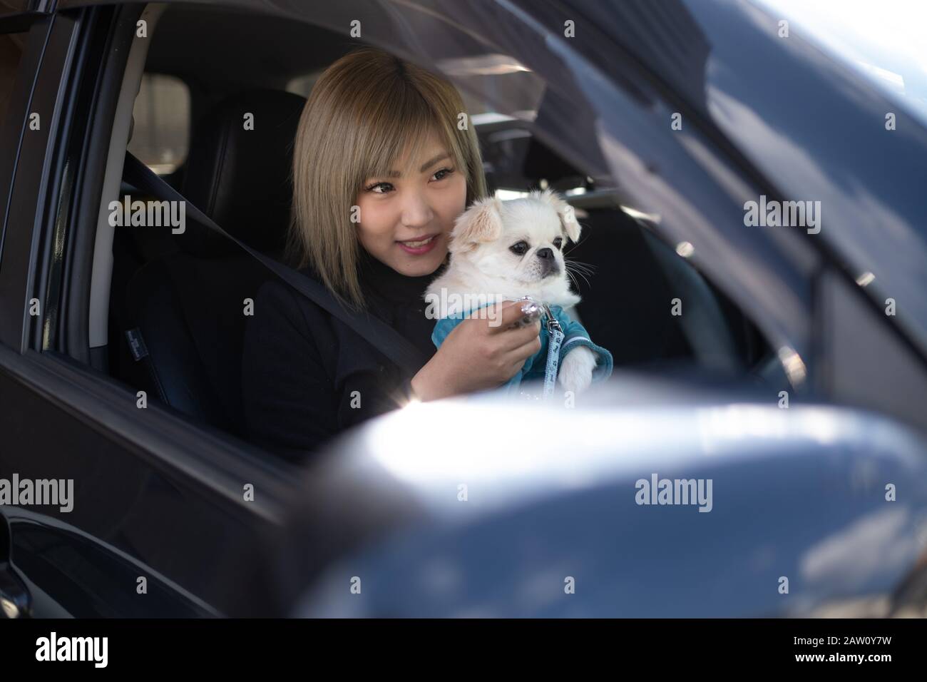 Autopilot life hi-res stock photography and images - Alamy