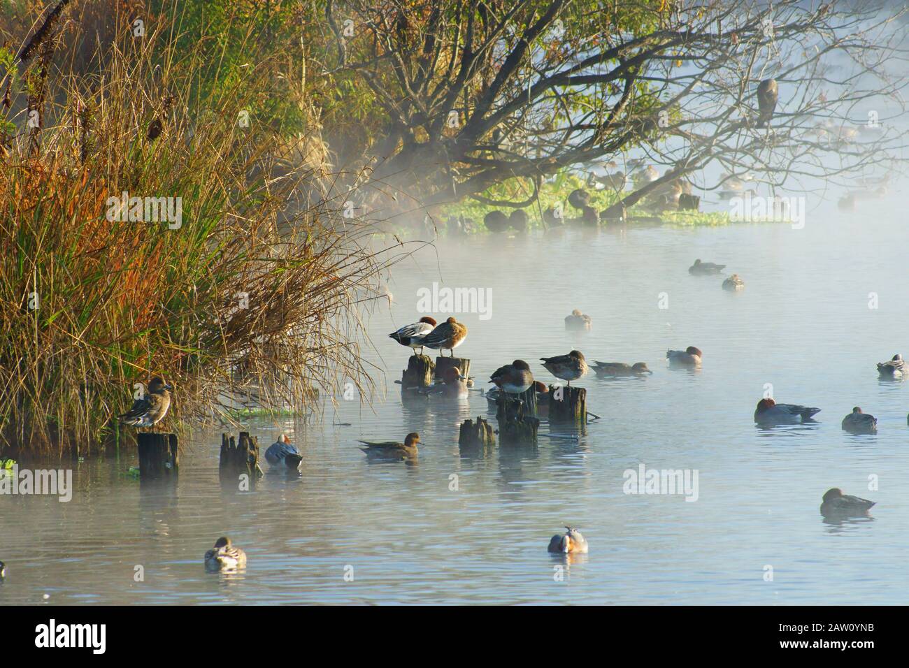 Surface weather observation hi-res stock photography and images - Alamy