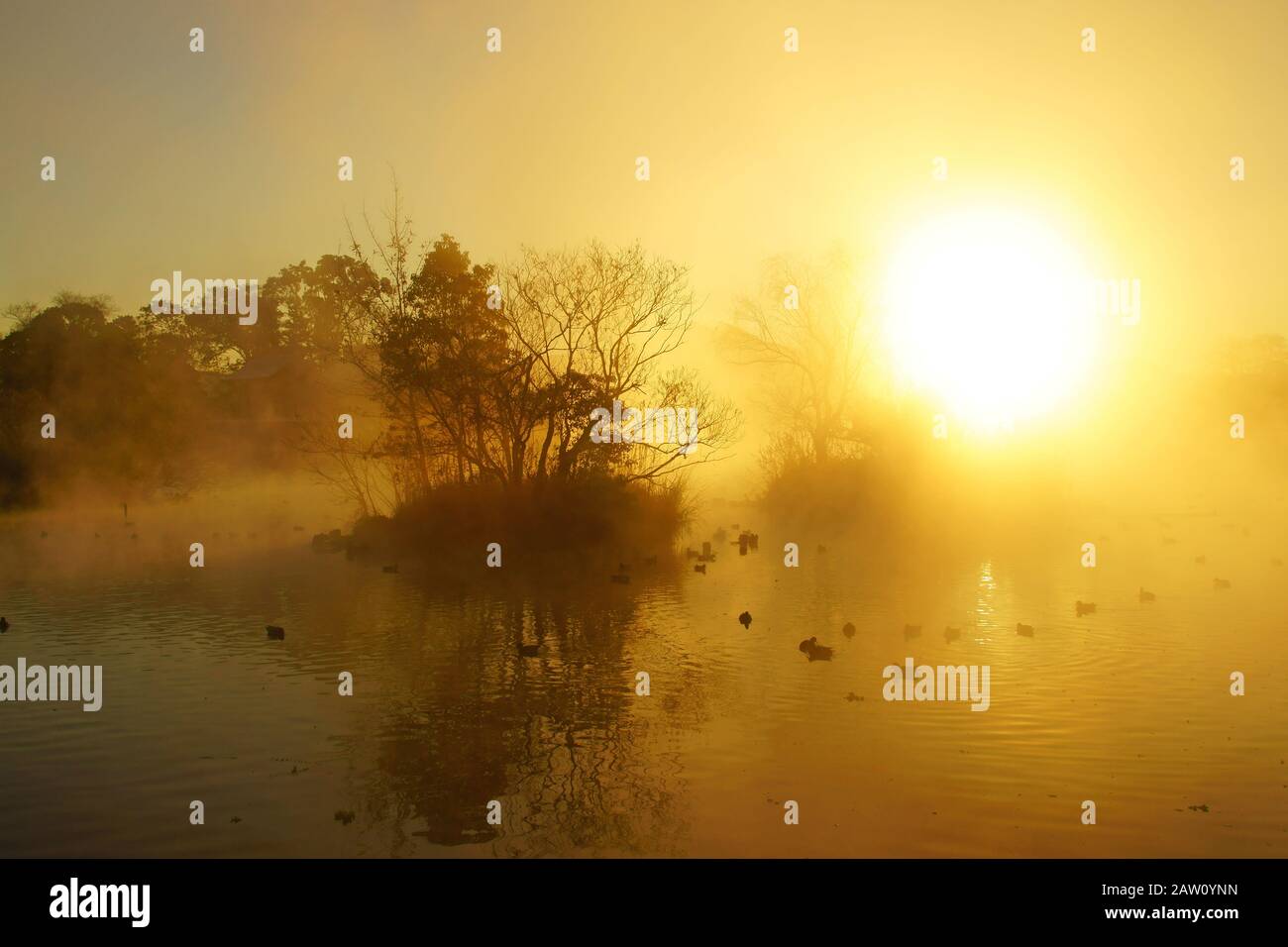 Ukishima pond hi-res stock photography and images - Alamy
