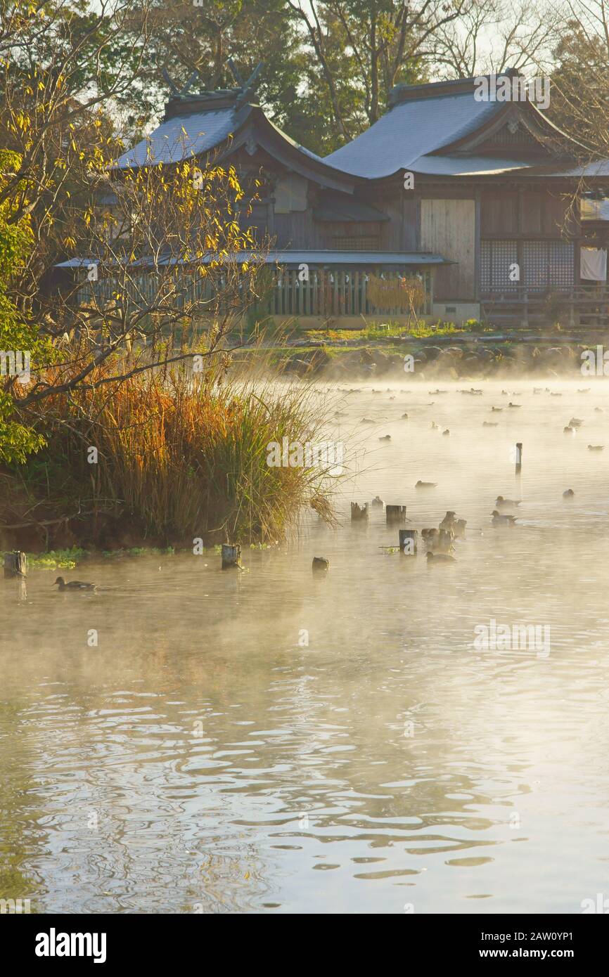 Ukishima Waterfront Park, Kumamoto Prefecture, Japan Stock Photo - Alamy