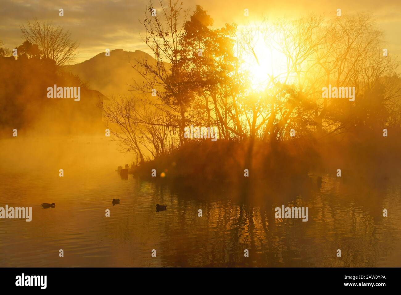 Ukishima Waterfront Park, Kumamoto Prefecture, Japan Stock Photo - Alamy