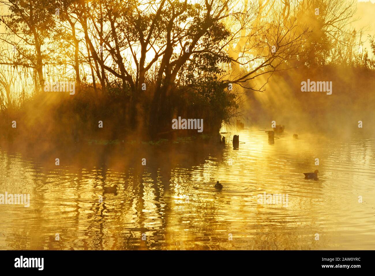Ukishima Waterfront Park, Kumamoto Prefecture, Japan Stock Photo - Alamy