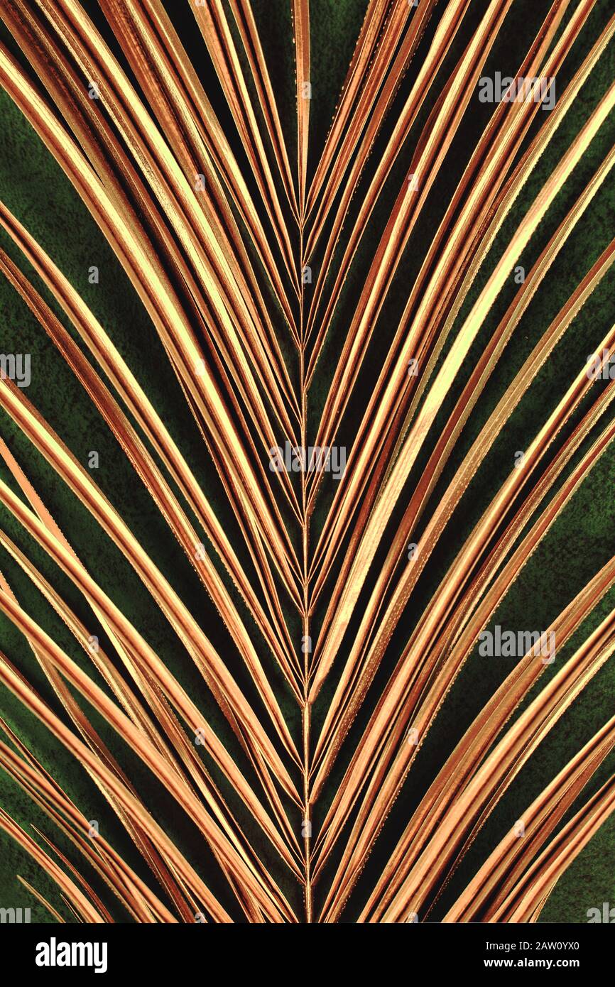 Golden palm hi-res stock photography and images - Alamy