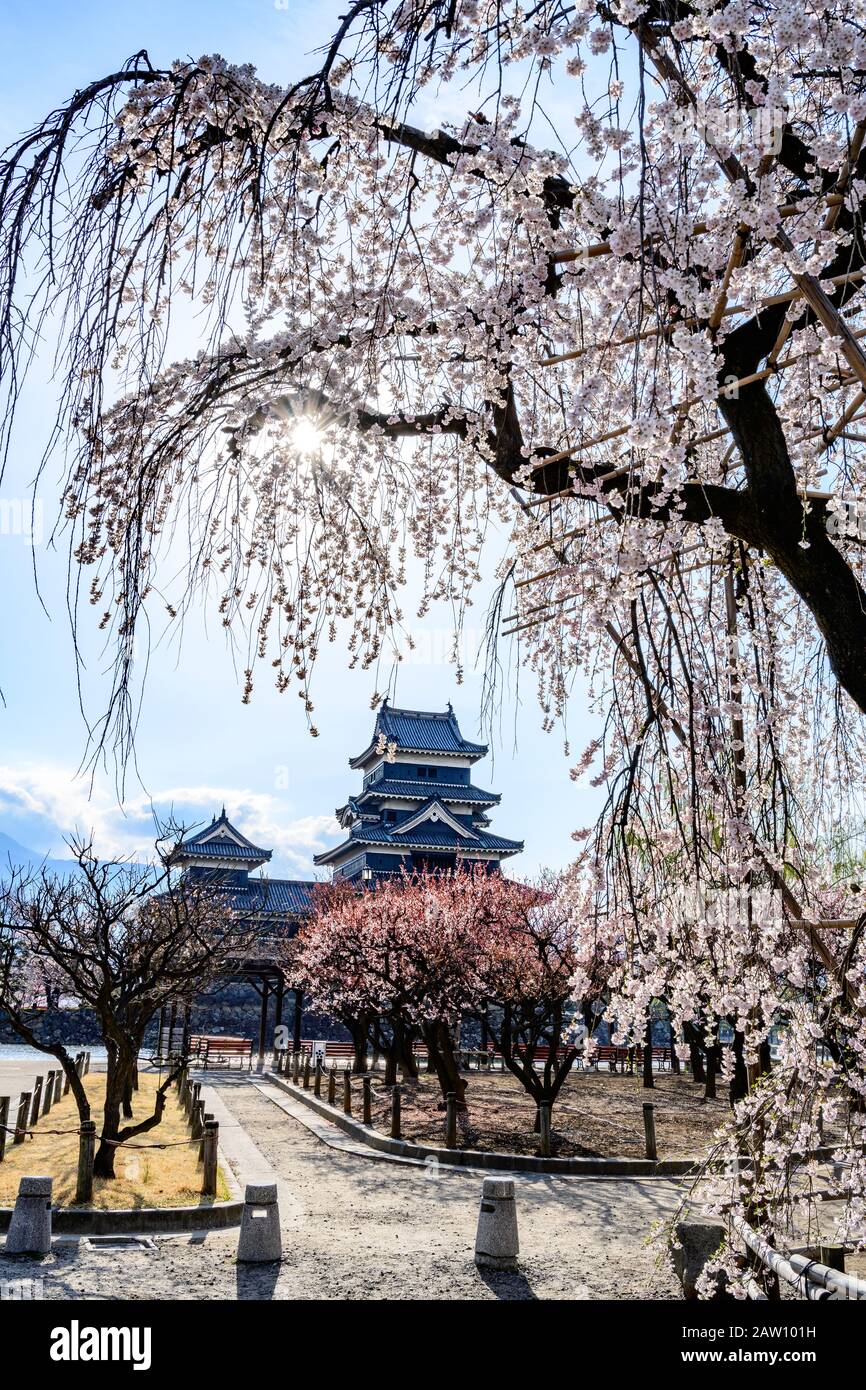 Matsumoto Castle in spring Stock Photo - Alamy