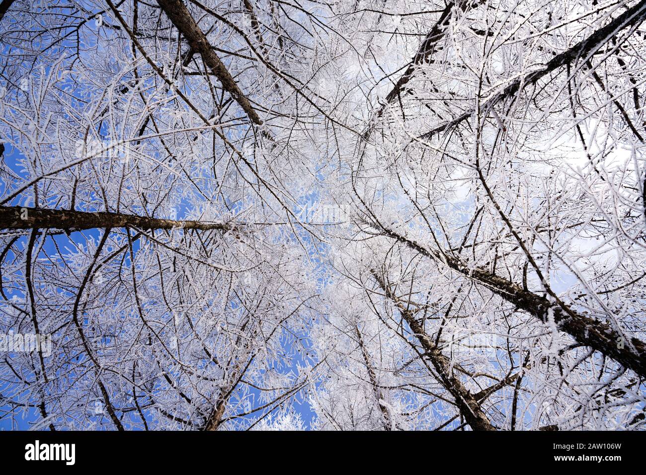 Memuro cho hi-res stock photography and images - Alamy