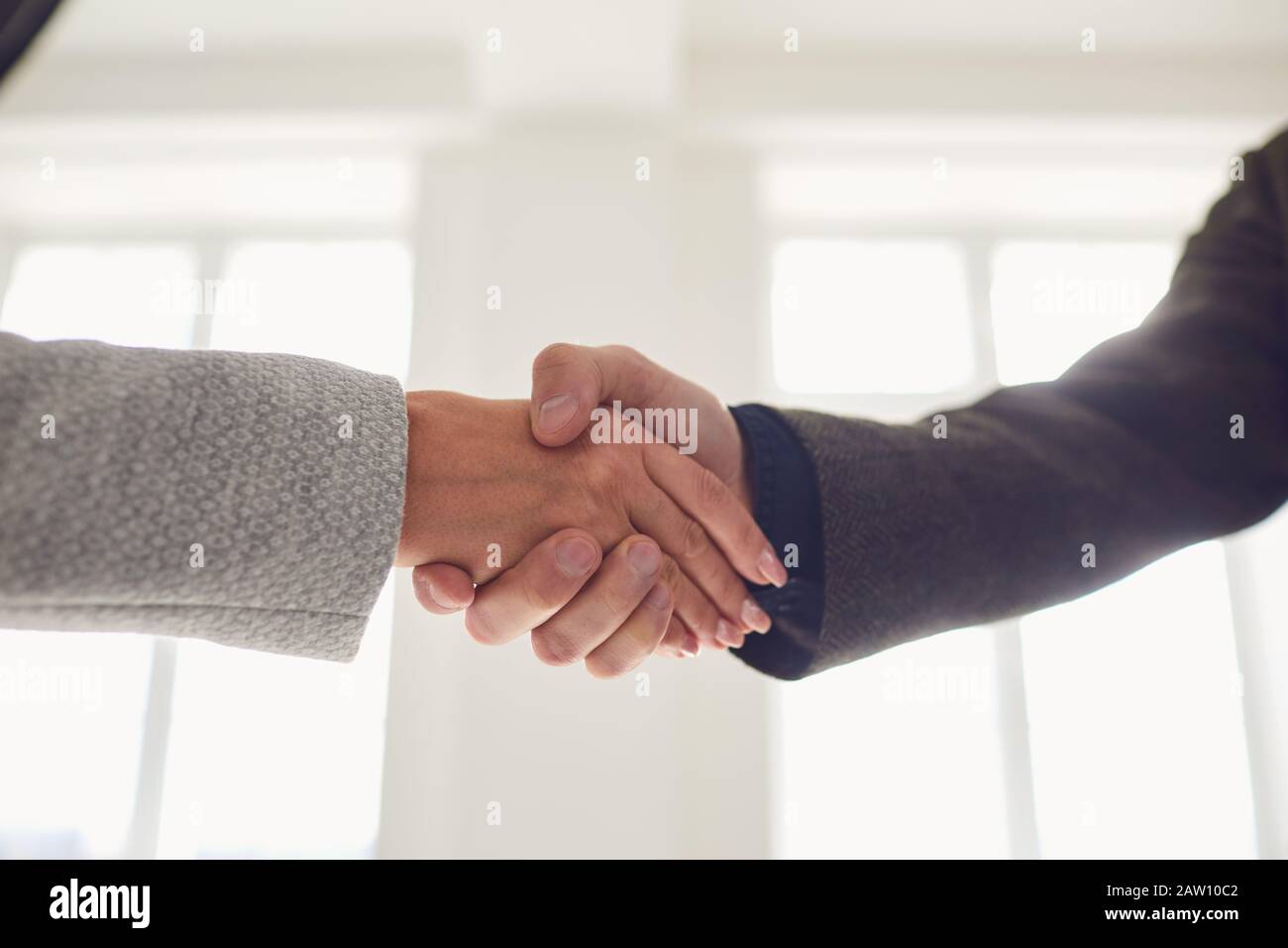Handshake of businessmen. Female and male hand makes a handshake in the ...