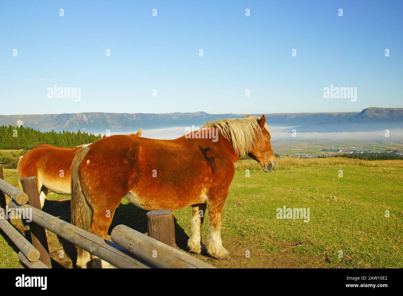 Aso image hi-res stock photography and images - Alamy