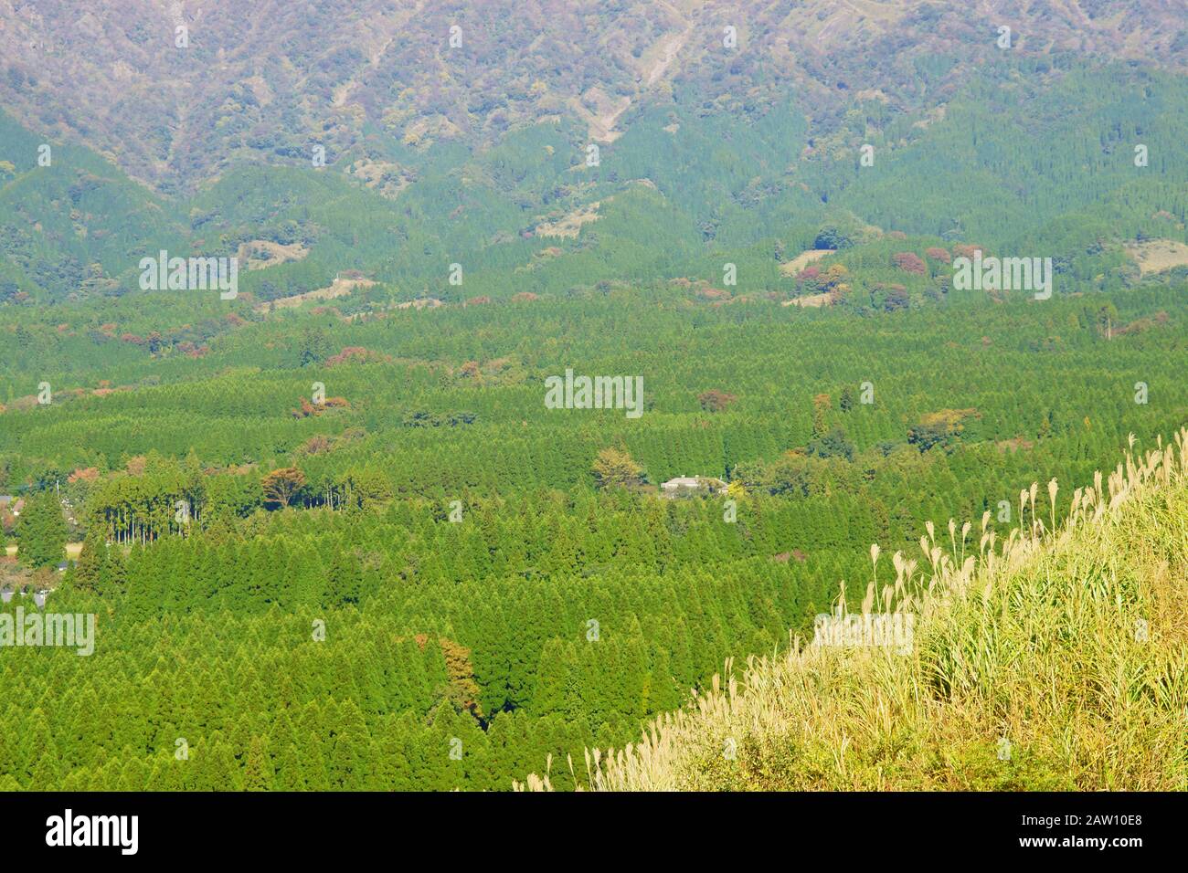 Aso farm land hi-res stock photography and images - Alamy