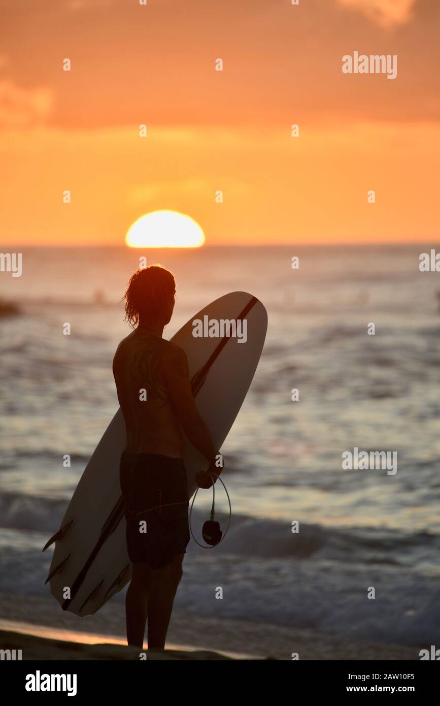 Surfer watching sunset with world-renowned crashing waves in Banzai ...