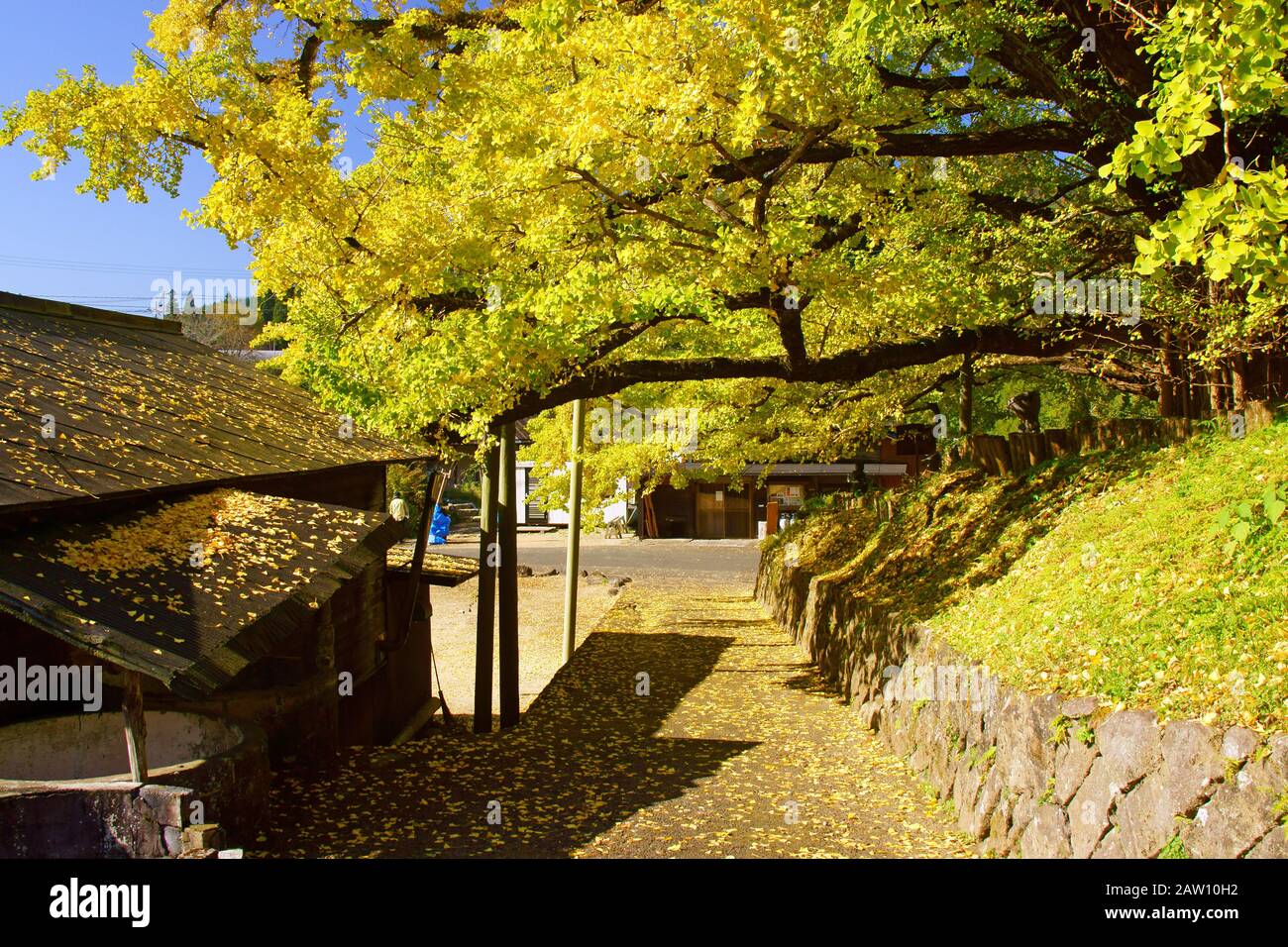 Shimojo hi-res stock photography and images - Alamy