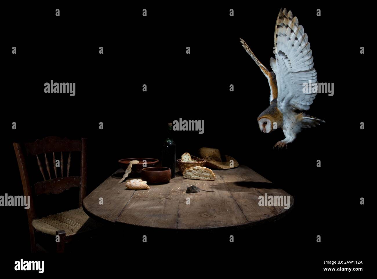Owl hunting mouse art hi-res stock photography and images - Alamy