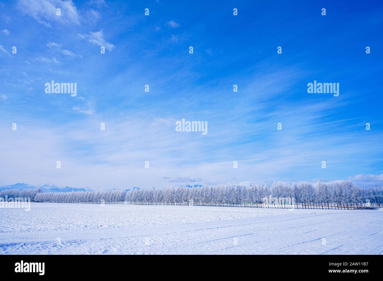 Rime ice at Tokachi, Hokkaido Prefecture, Japan Stock Photo - Alamy