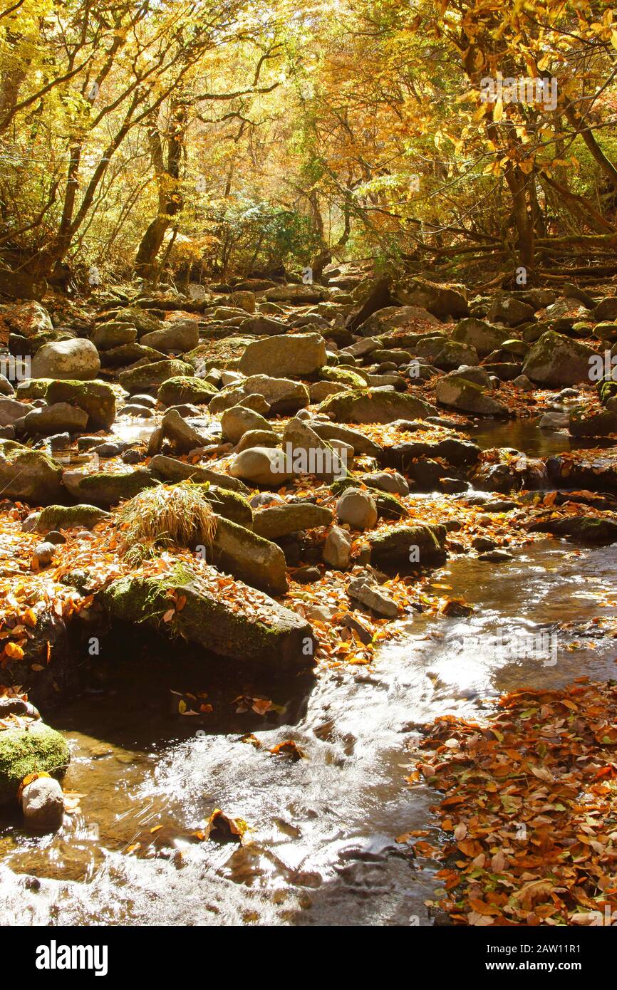 Mazeno valley hi-res stock photography and images - Alamy