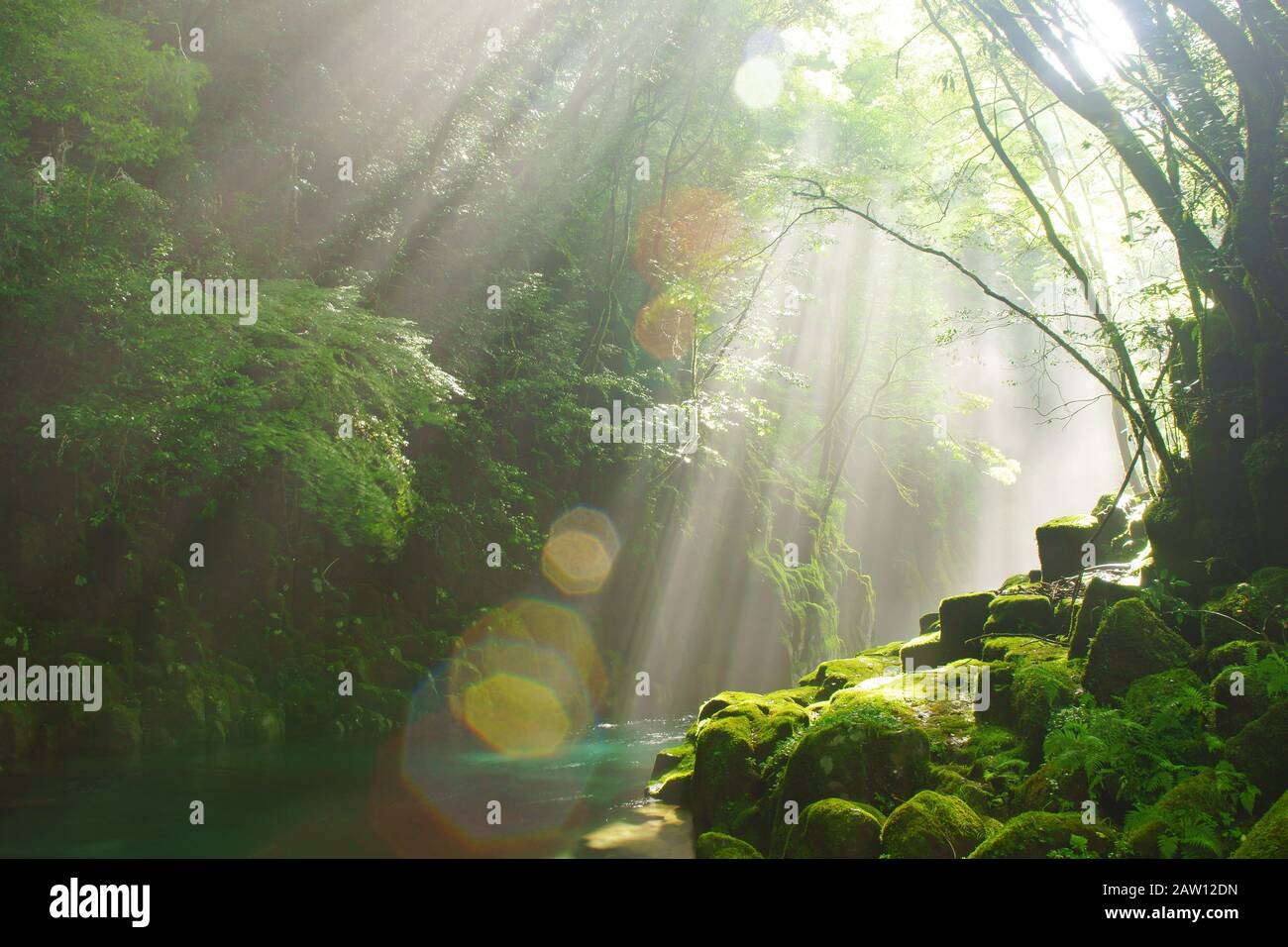 Kikuchi Gorge, Kumamoto Prefecture, Japan Stock Photo - Alamy