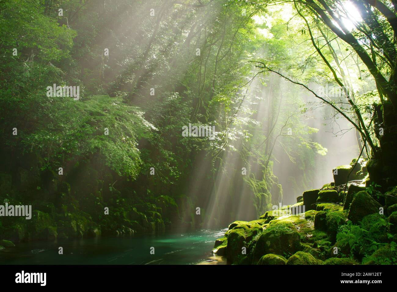 Kikuchi Gorge, Kumamoto Prefecture, Japan Stock Photo - Alamy