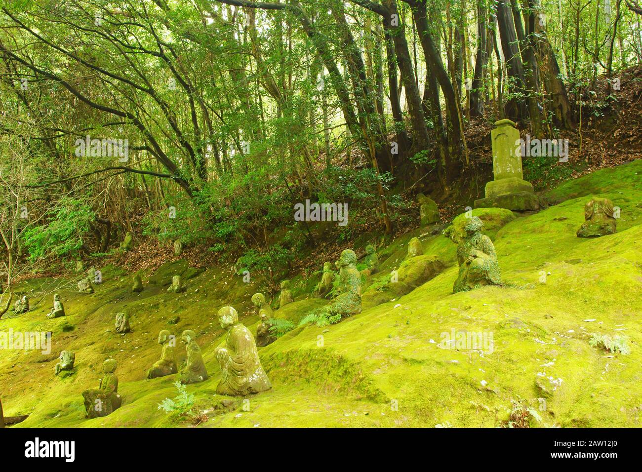 500 rakan hi-res stock photography and images - Alamy