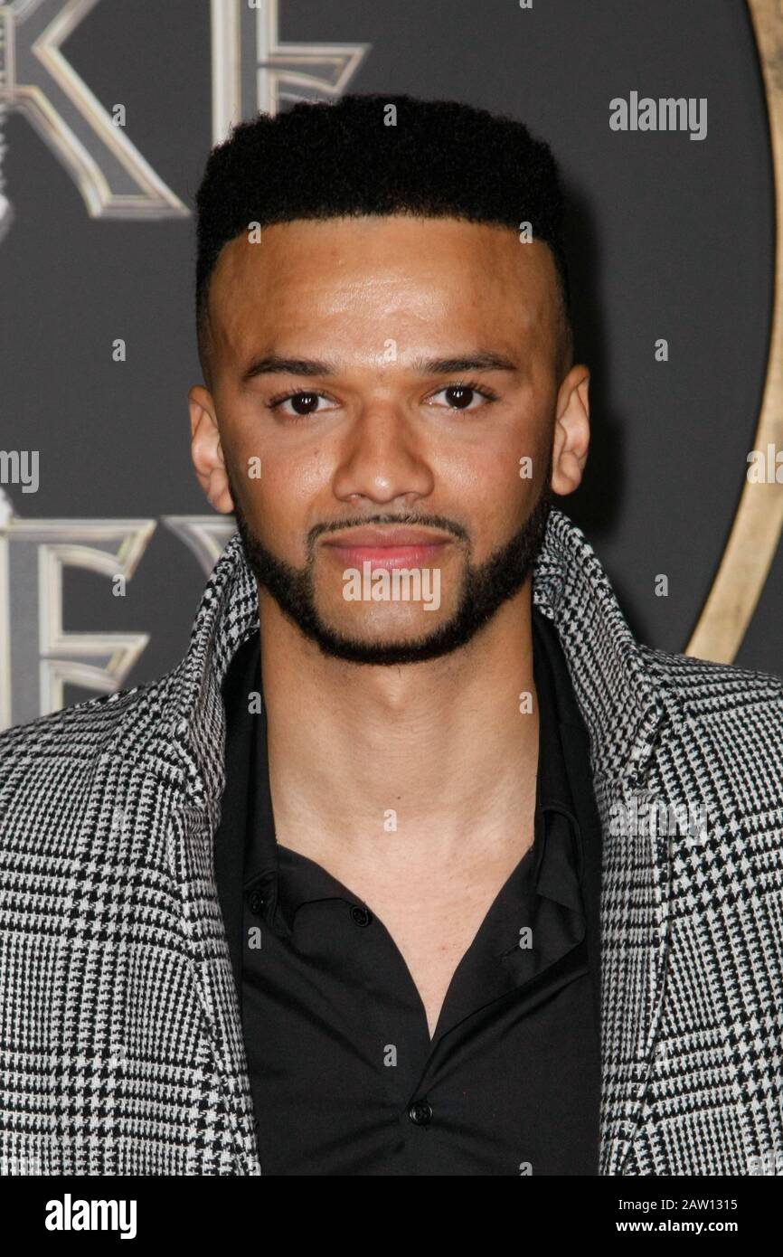 Hollywood, California, USA. 05th Feb, 2020. Petrice Jones attends ...