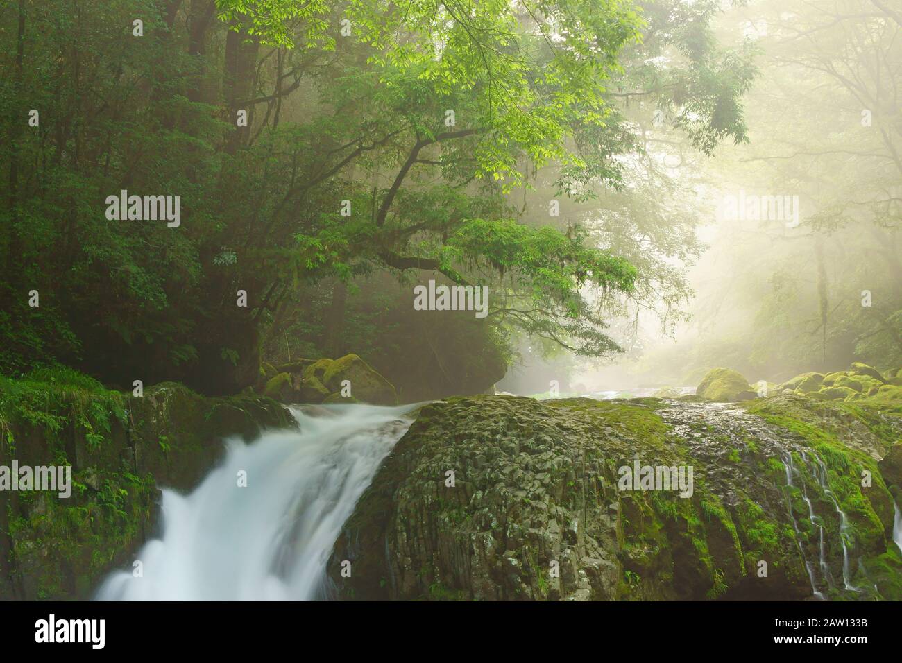 Kikuchi Gorge, Kumamoto Prefecture, Japan Stock Photo - Alamy