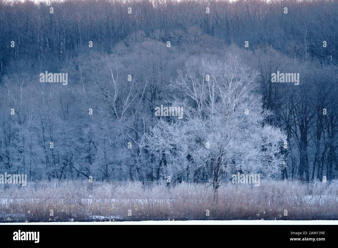 Rime ice hi-res stock photography and images - Alamy