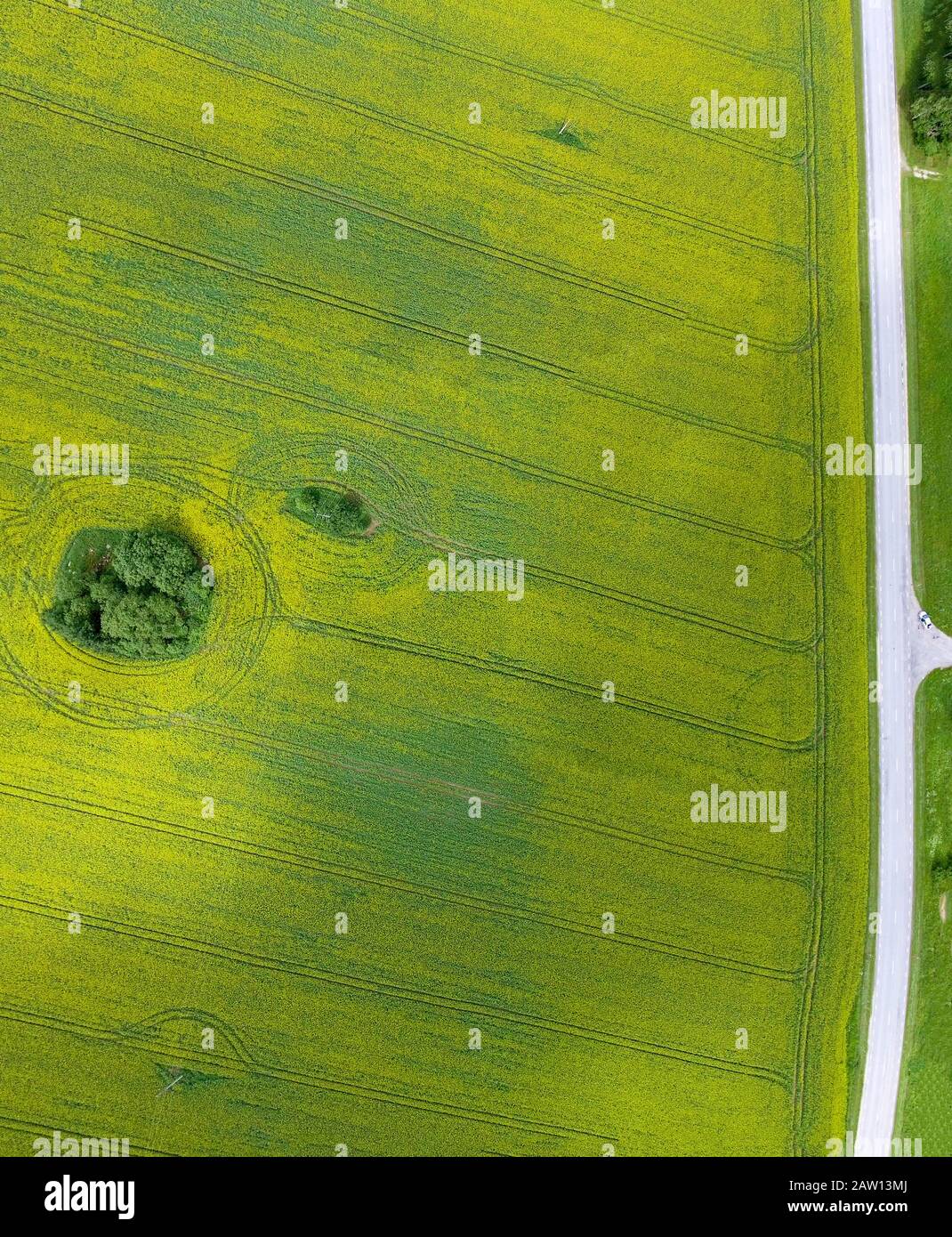Overhead panoramic view of beautiful yellow meadows Stock Photo - Alamy