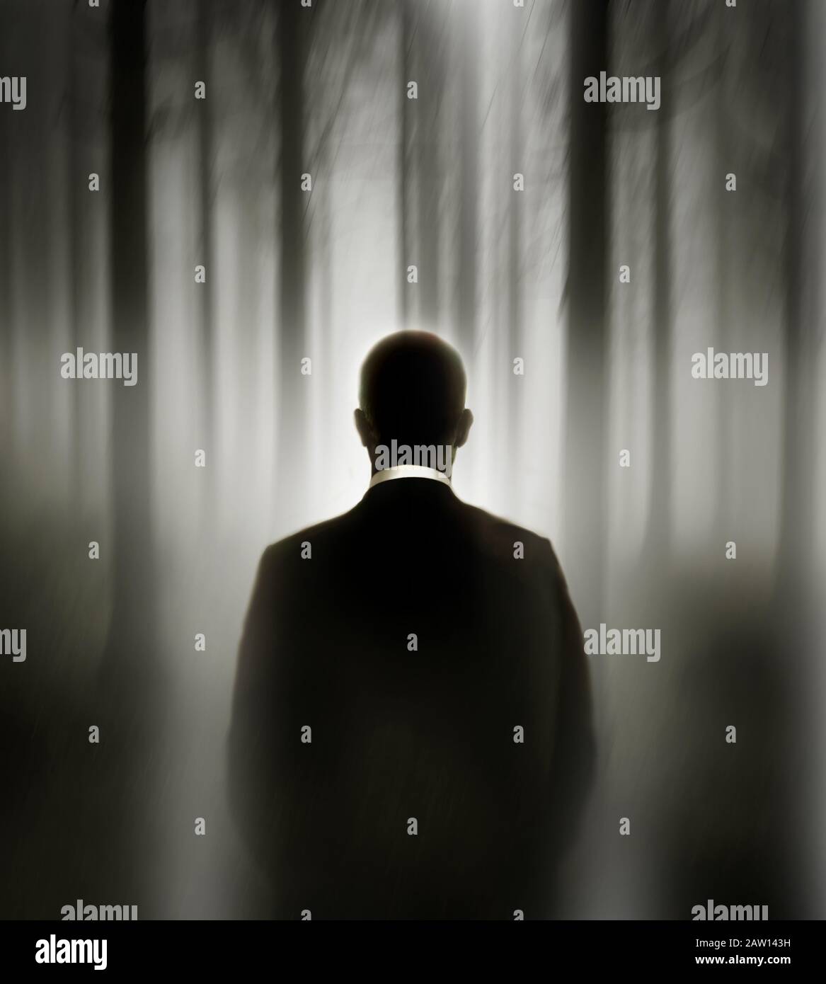 image of a business mans back in a mysterious forest Stock Photo - Alamy