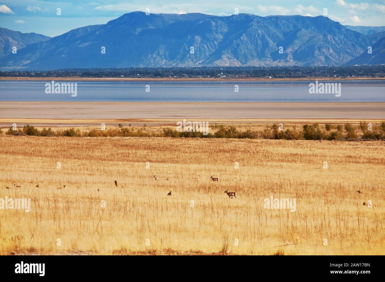 Scenic view of the Great Salt Lake landscape at sunset Stock Photo - Alamy