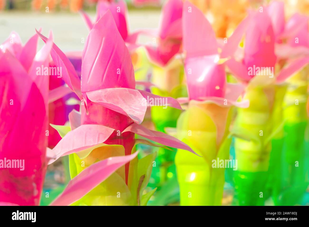 Recycled colorful plastic flowers made from plastic bottles to decorate ...