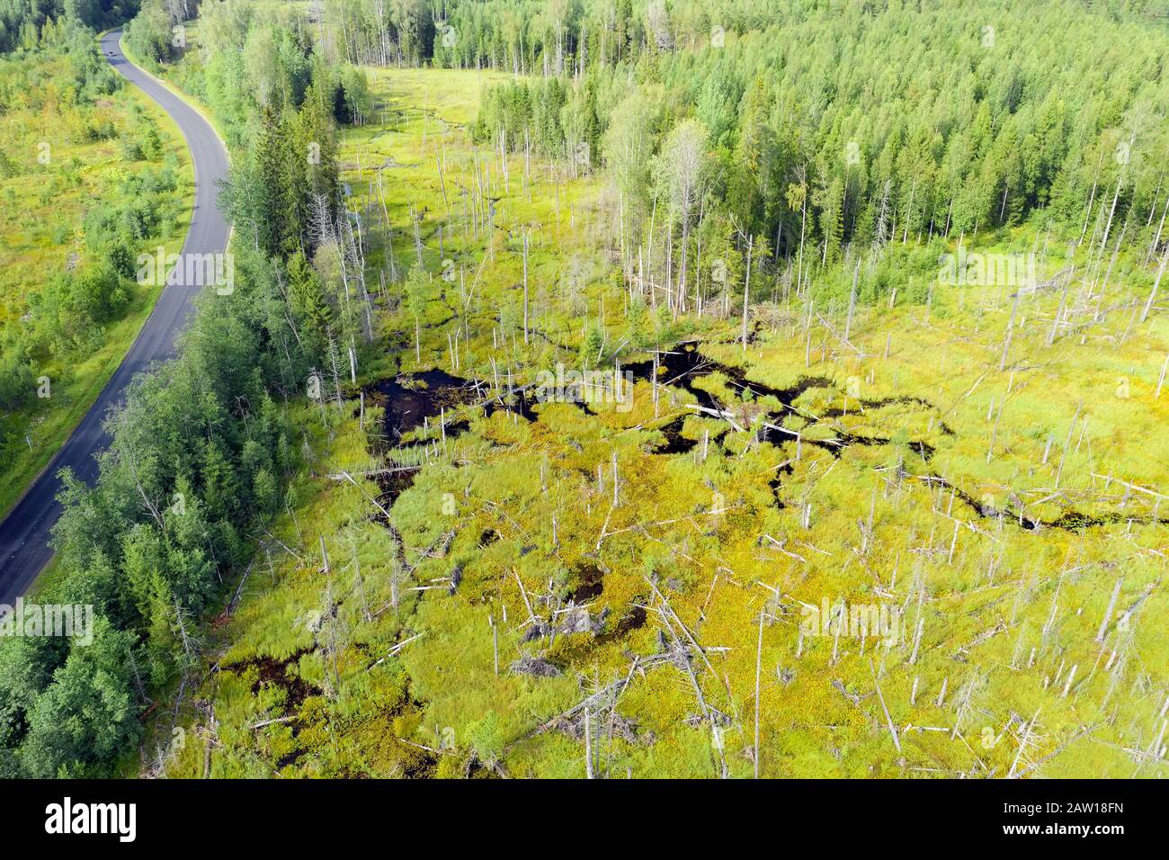 Top view of a highway running along the edge of a swamp Stock Photo - Alamy