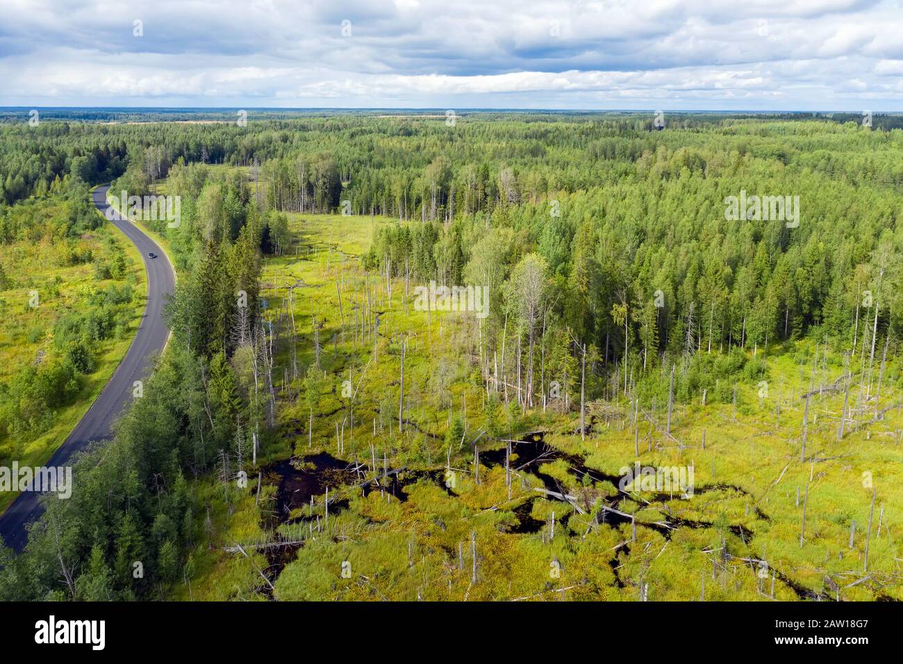 Top view of a highway running along the edge of a swamp Stock Photo - Alamy