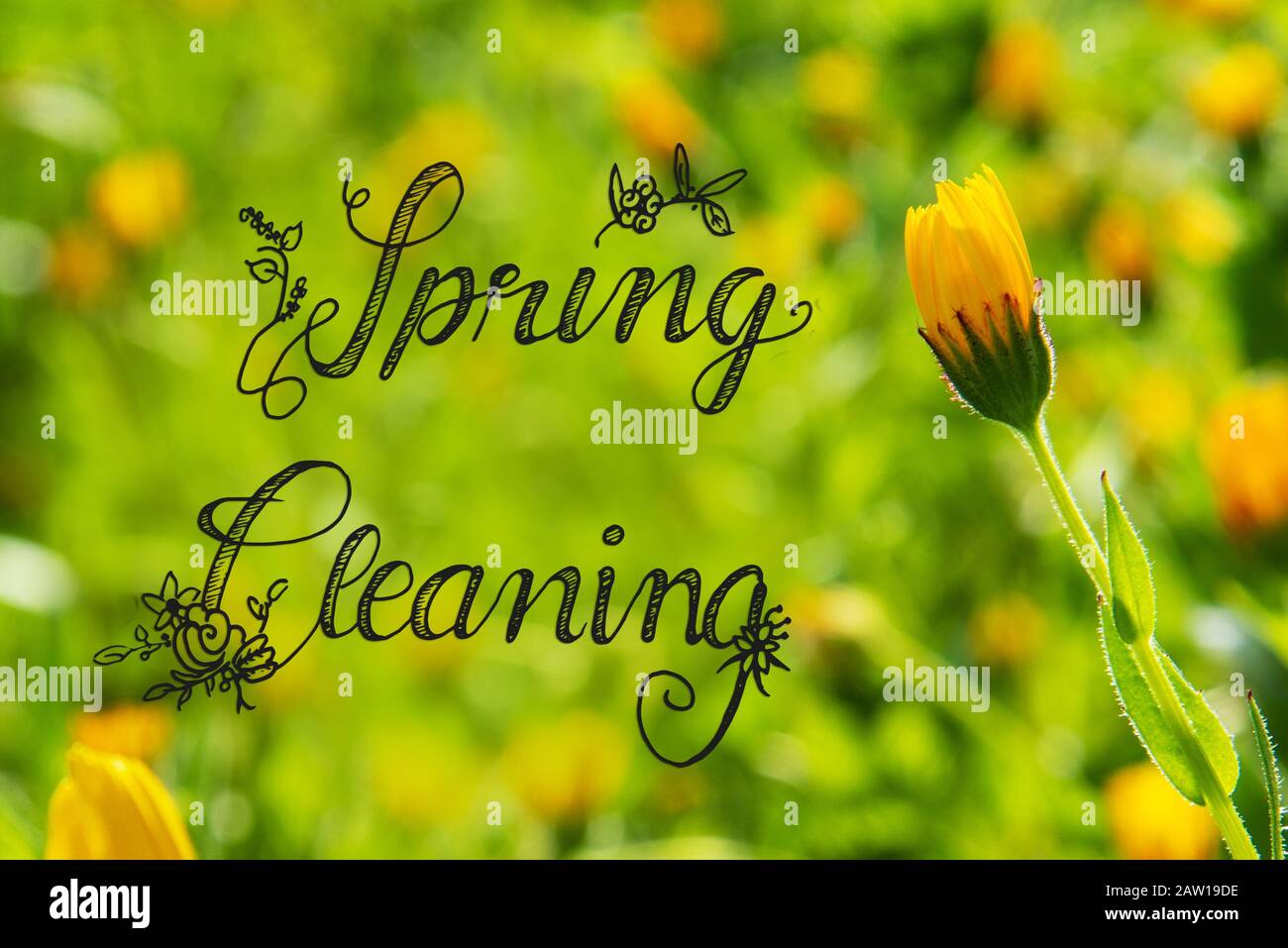 Outdoor tidy flower hi-res stock photography and images - Alamy