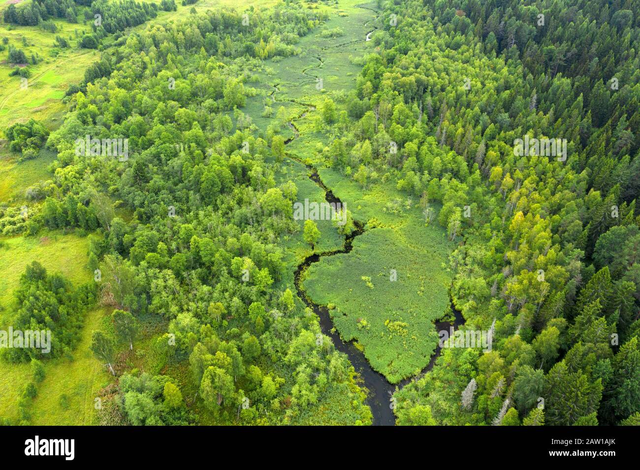Top view of a river flowing through a wooded area Stock Photo - Alamy