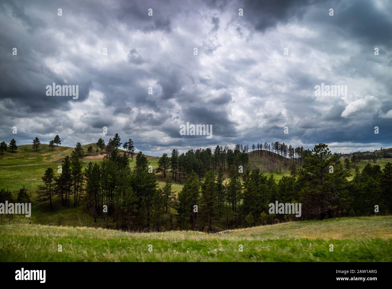 An overlooking landscape view of Custer State Park, South Dakota Stock ...