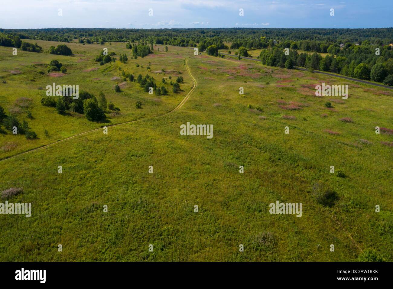 Aerial view field trees forest hi-res stock photography and images - Alamy
