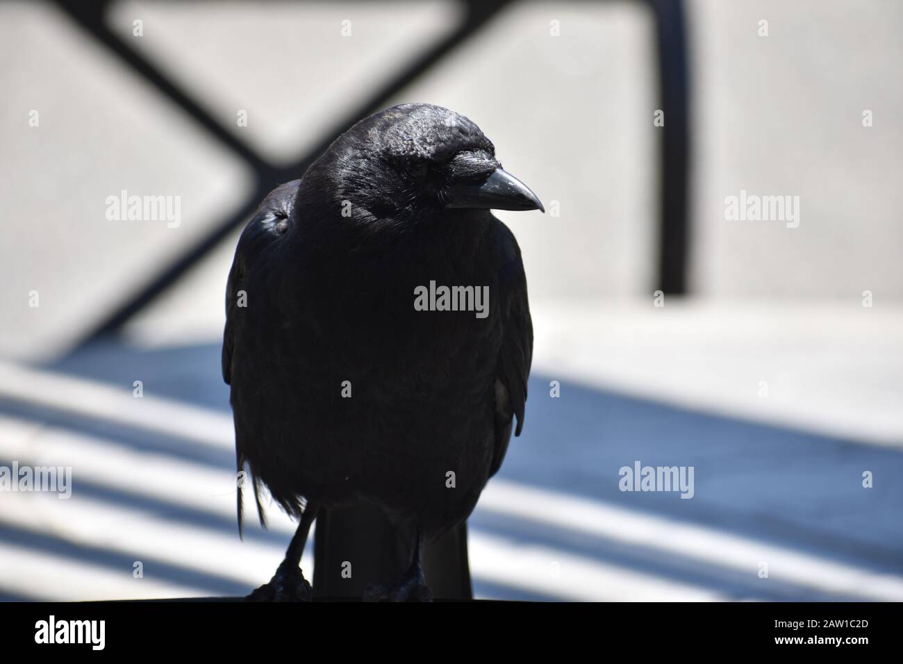 Drawing reference hi-res stock photography and images - Alamy