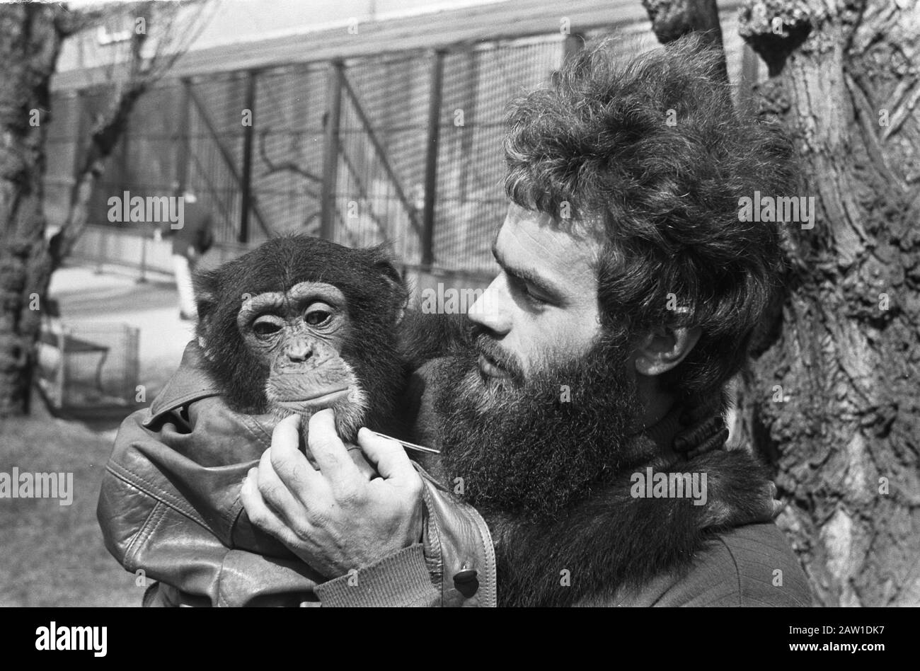 Black Monkey Study Together