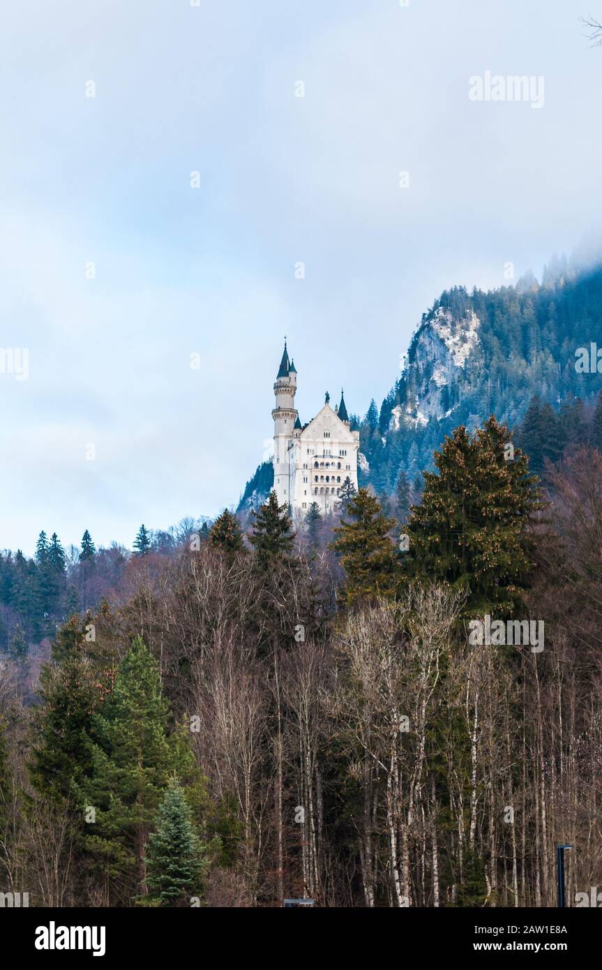 Medieval castle in the middle of the forest standing on the top of the ...