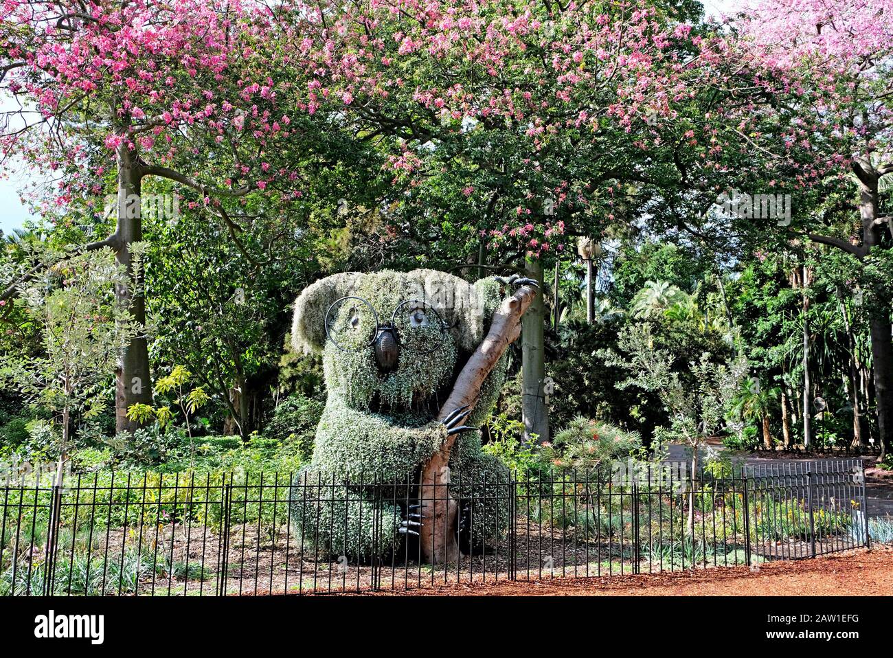 Koala plant statue in Royal Botanical Gardens in Sydney Stock Photo - Alamy