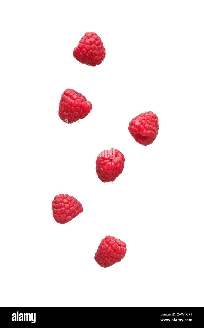 Falling red raspberries isolated on white background Stock Photo - Alamy