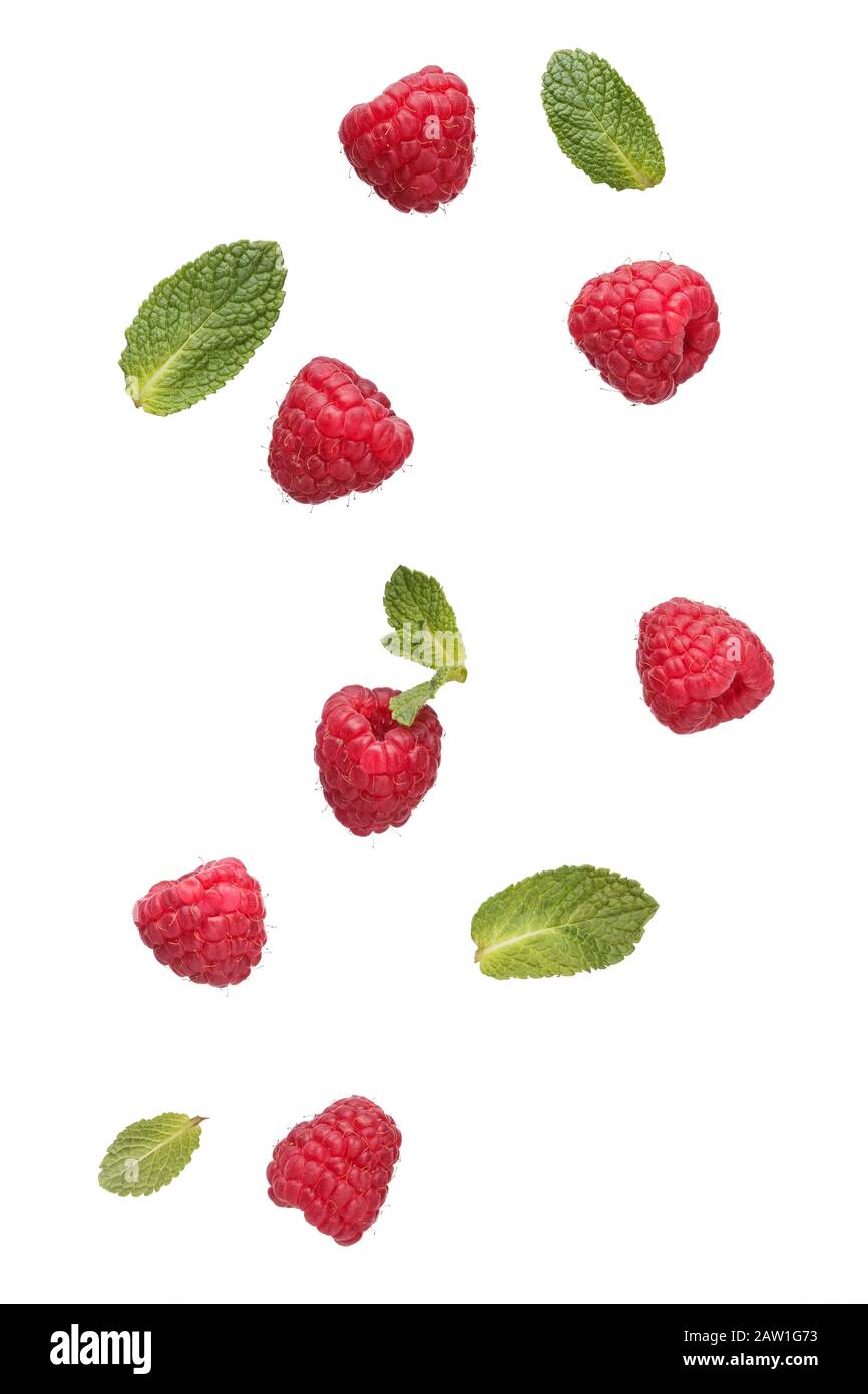 Falling red raspberries isolated on white background Stock Photo - Alamy