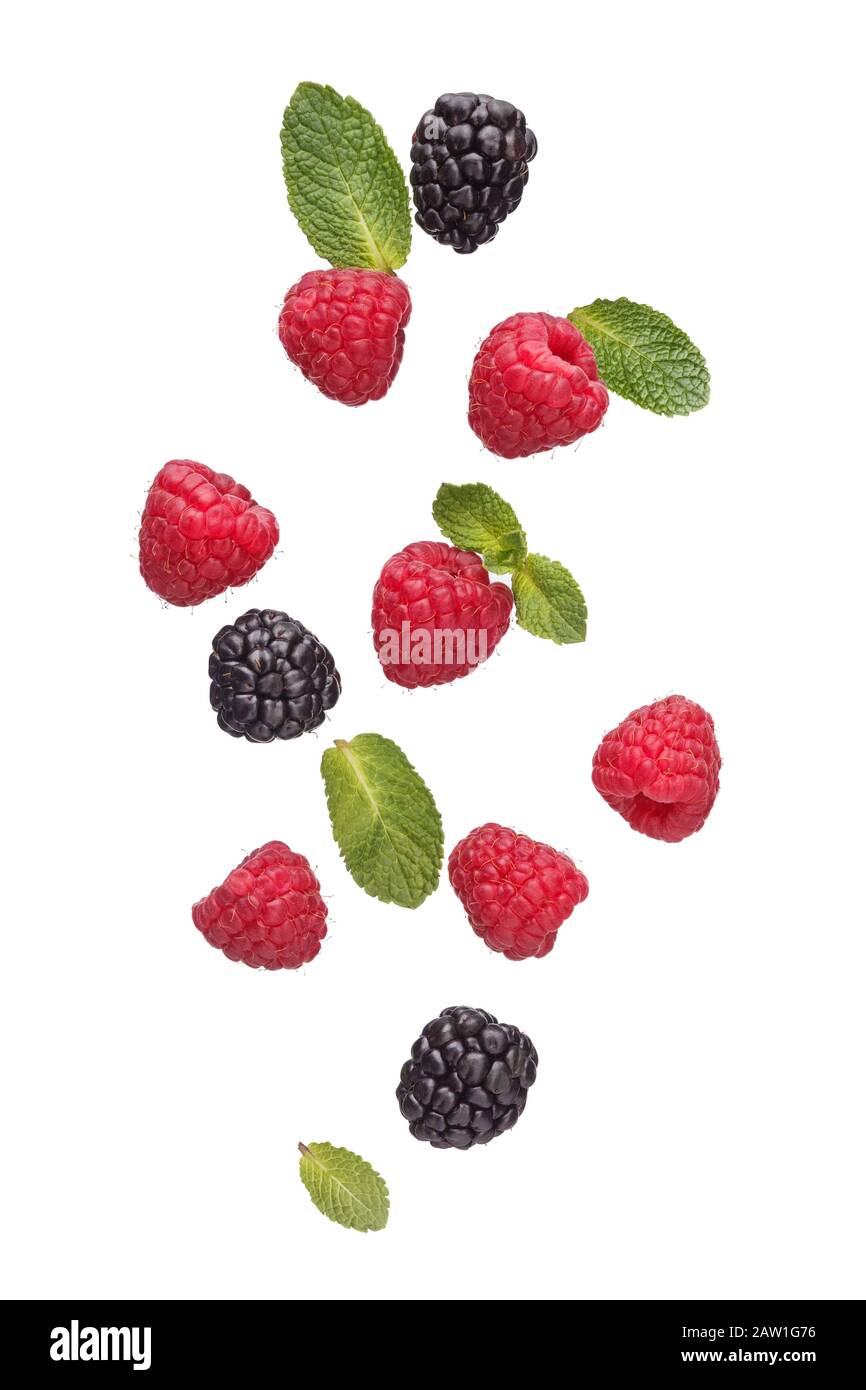 Mix of different berries isolated on white background Stock Photo - Alamy