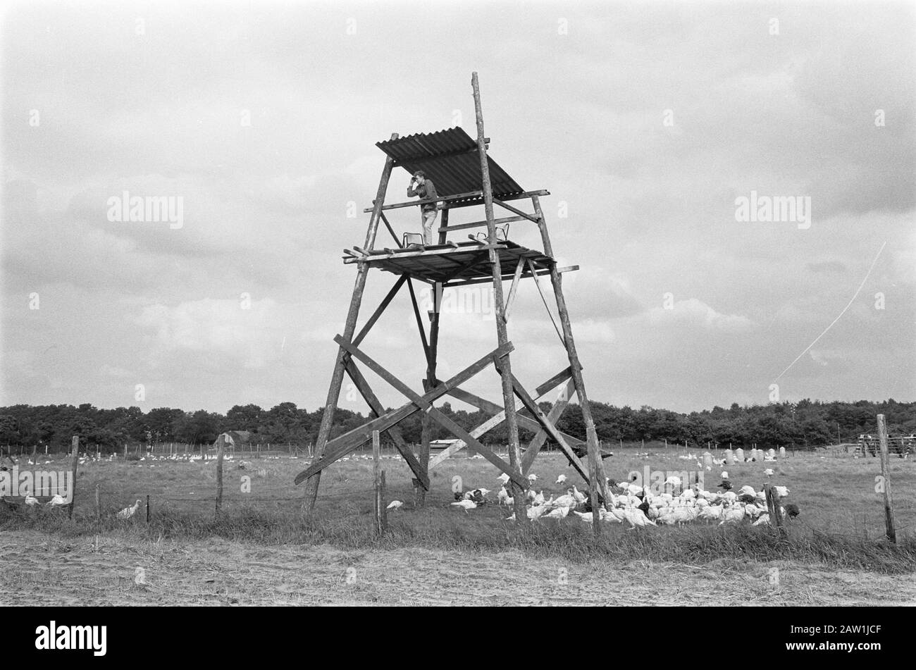 August 16 1963 Black and White Stock Photos & Images - Alamy