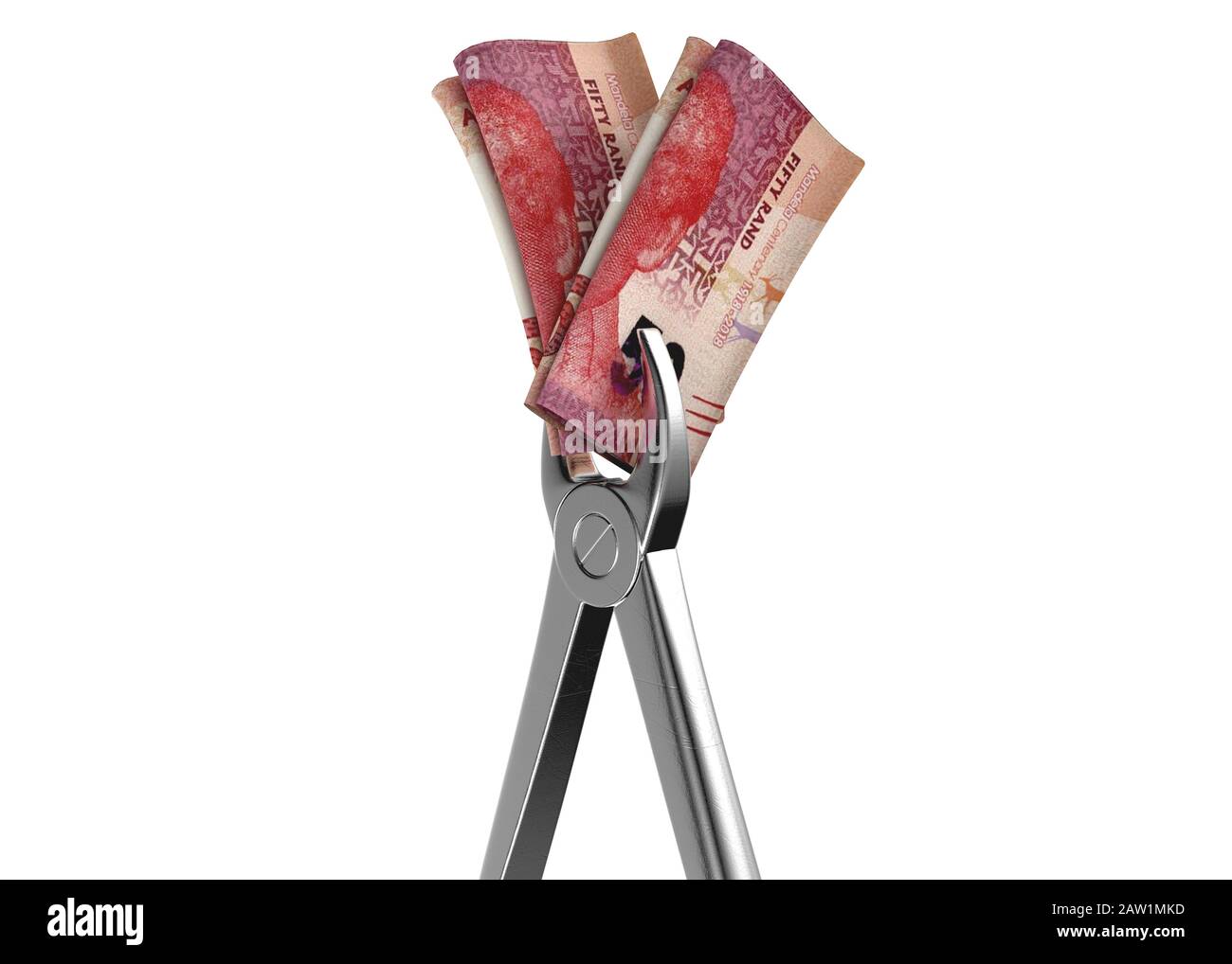 A pair of medical pliers gripping a rolled up pair of south african ...