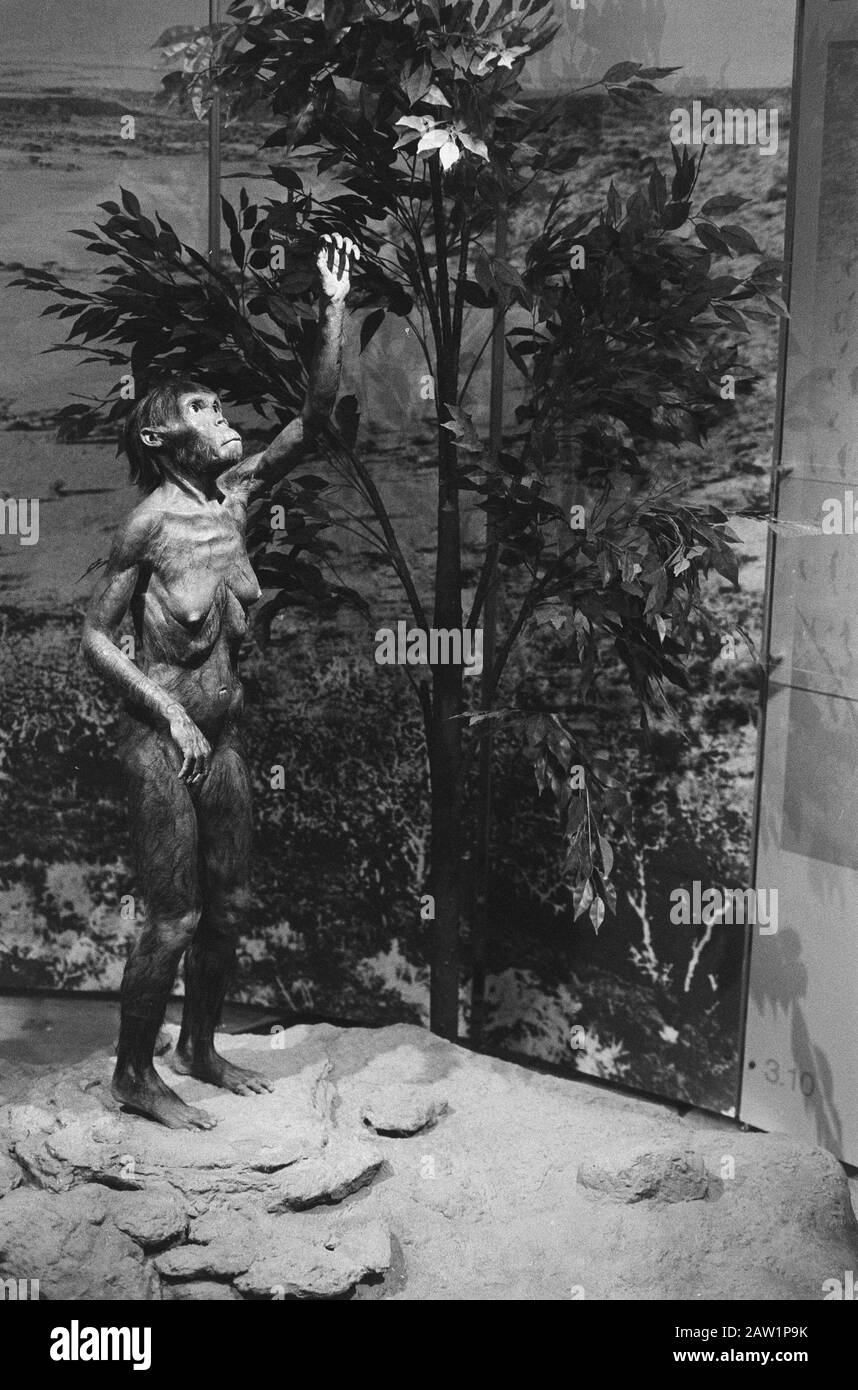 Prehistoric man museum Black and White Stock Photos & Images - Alamy