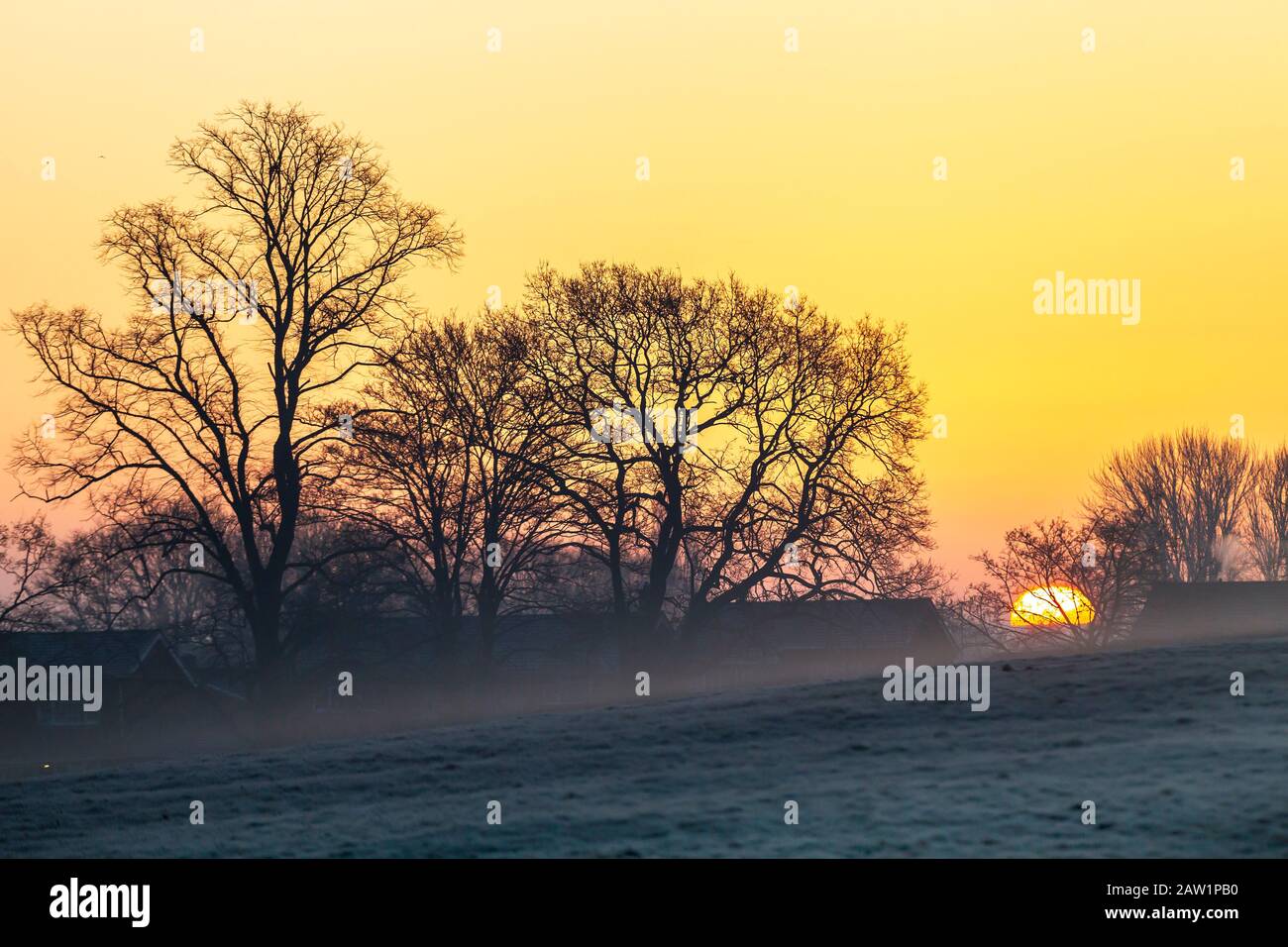 Northampton, UK, Weather, 6th Febuary 2020, Frosty start to the day ...