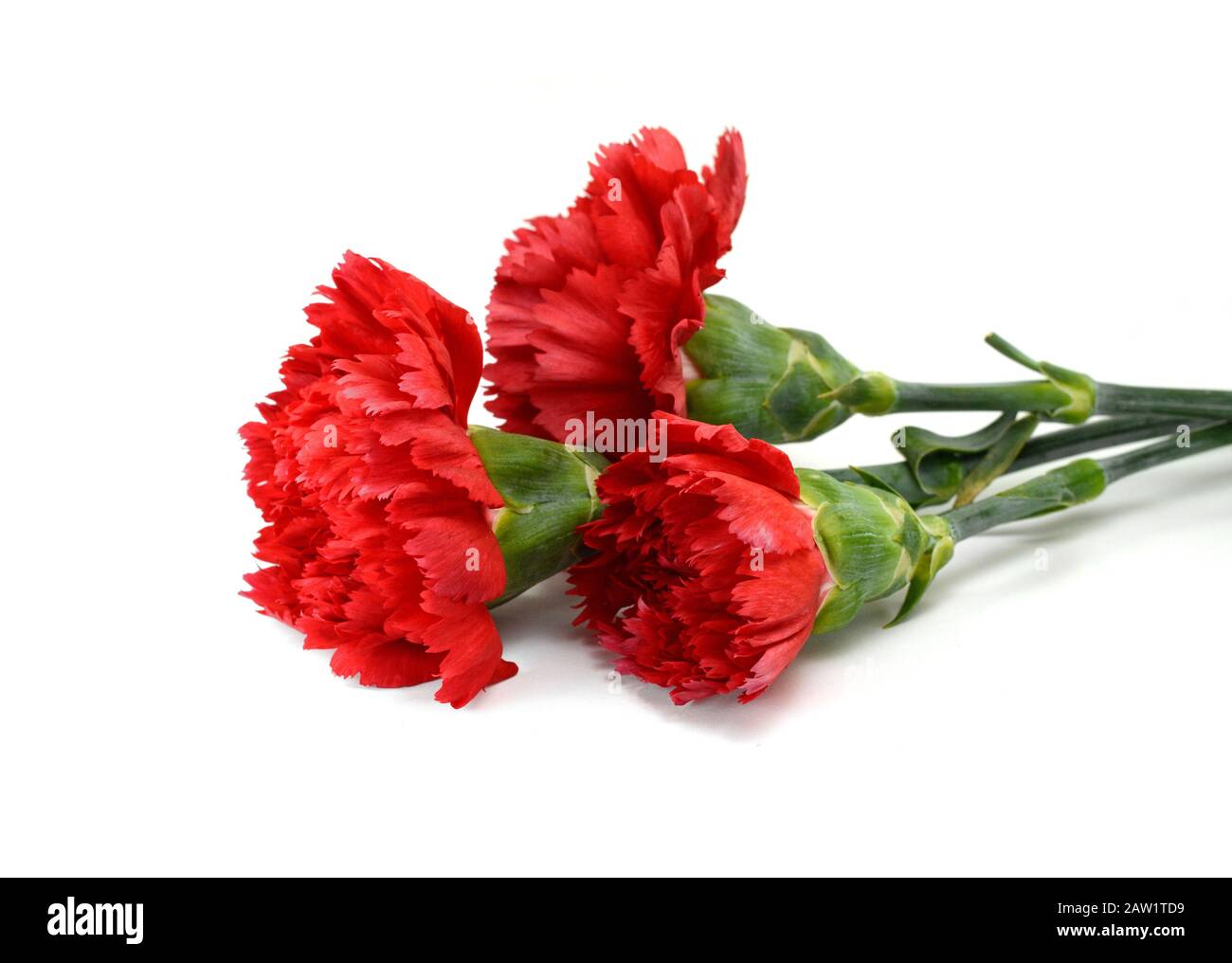 Beautiful bouquet of carnation and roses flower isolated on white ...