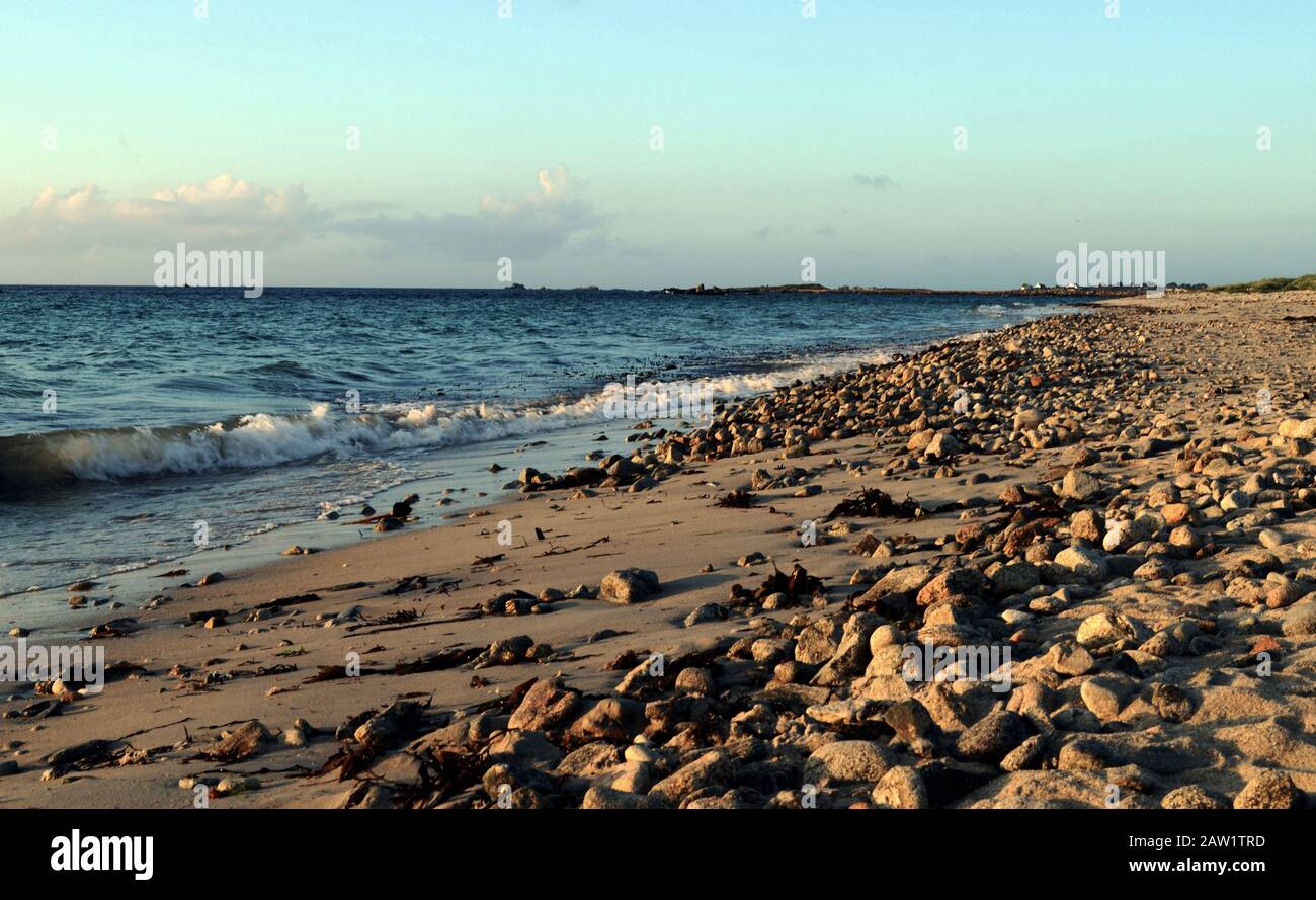 Le Curnic's pebble beach illuminated by the end-of-day grazing light ...