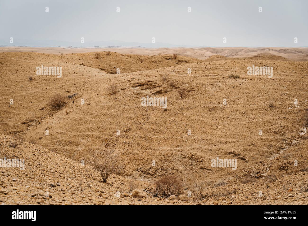 Moon Valley or Valle De La Luna canyon with eroded sandstone spikes ...
